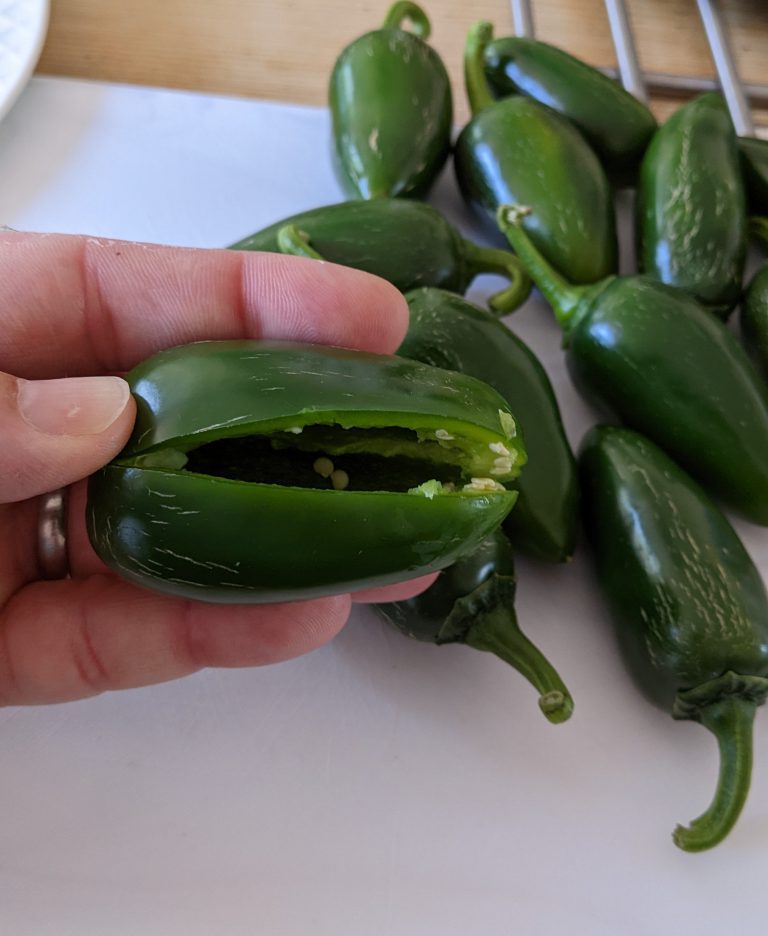 CC Jalapeno: ChilliChump Exclusive Seeds