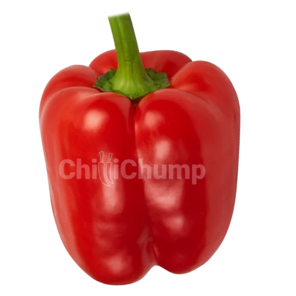 Bell Pepper Seeds